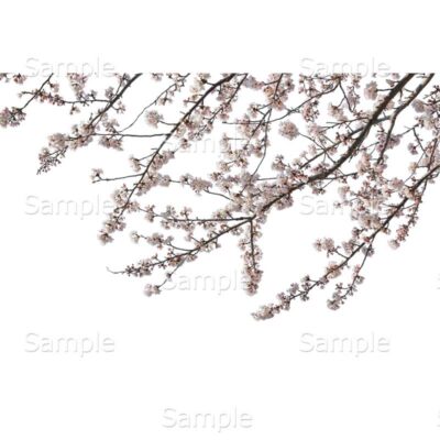 sa108 – sozaiya.com