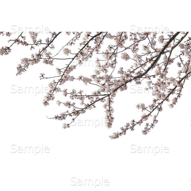 sa108 – sozaiya.com