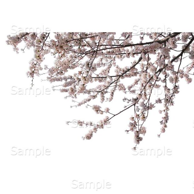 sa109 – sozaiya.com