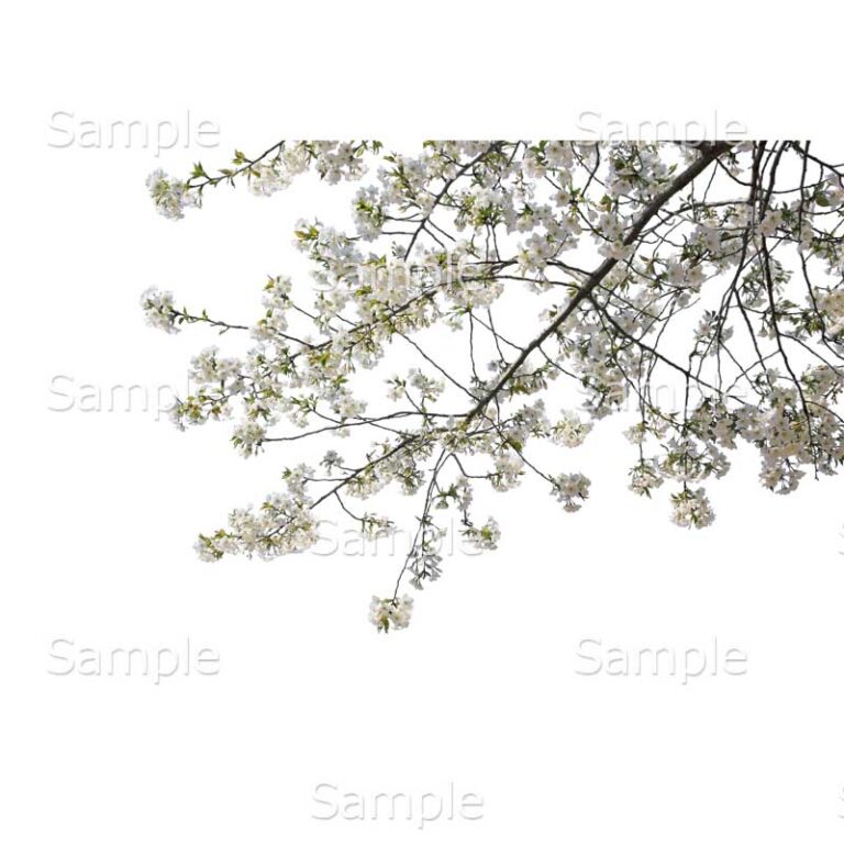 無料データ – ページ 12 – sozaiya.com