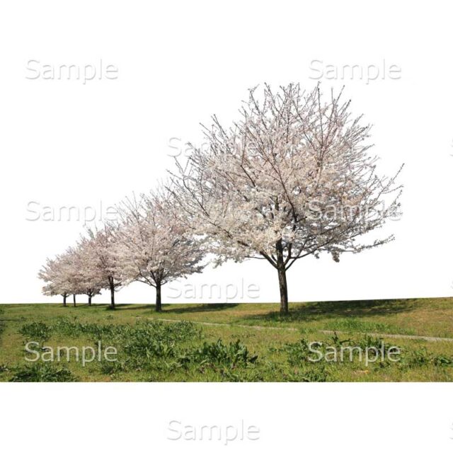 sa126 – sozaiya.com