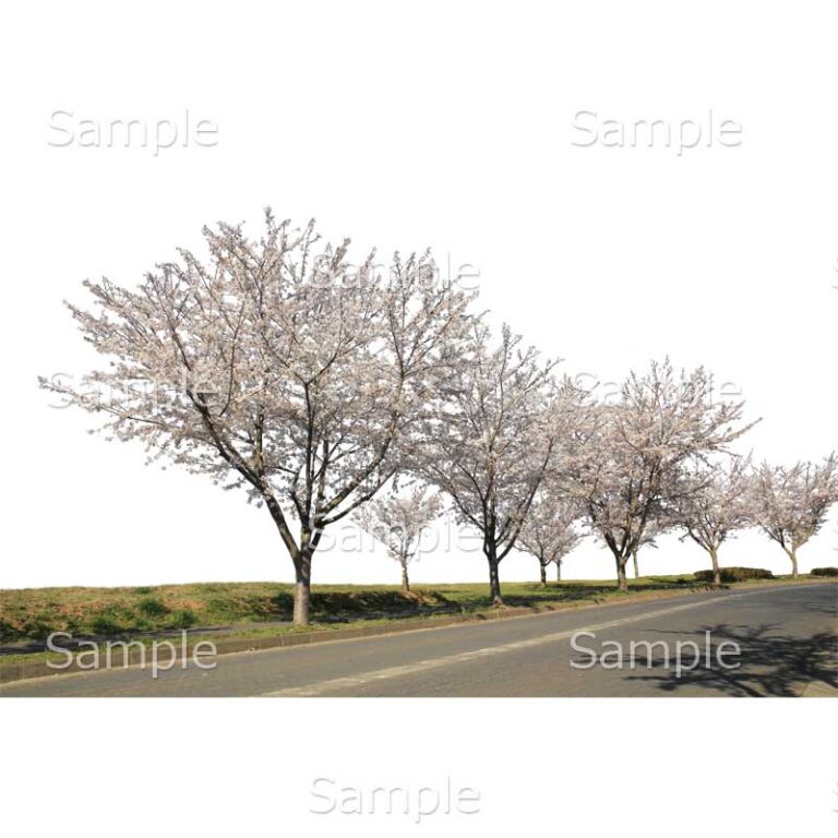 sa150 – sozaiya.com