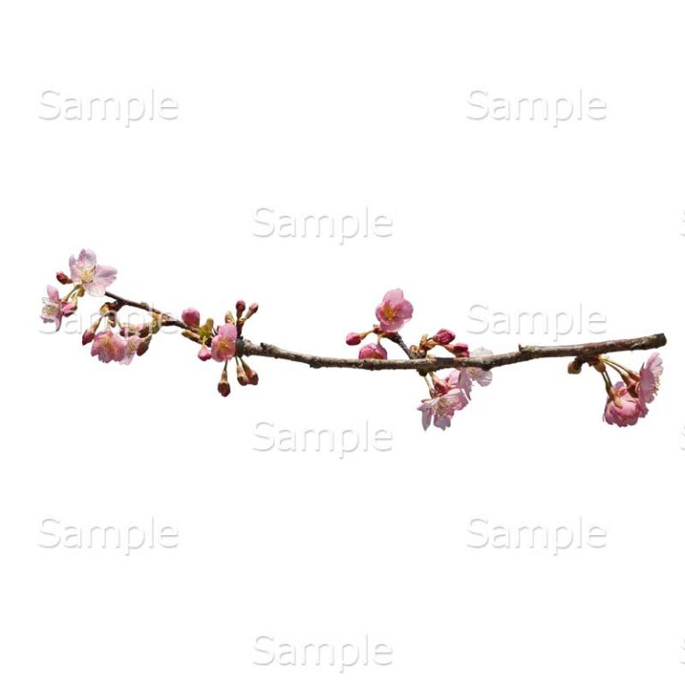 sa137 – sozaiya.com