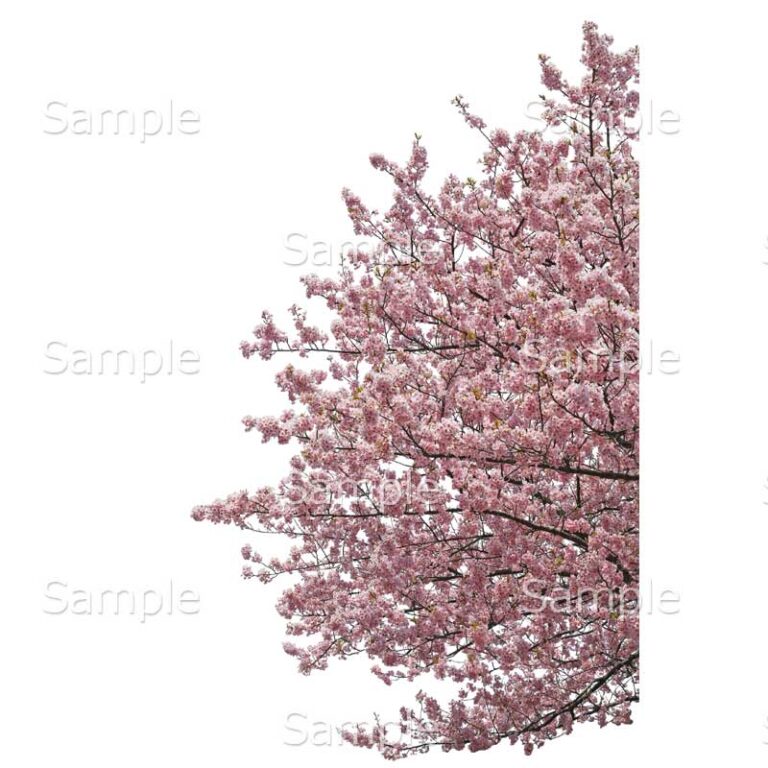 sa149 – sozaiya.com