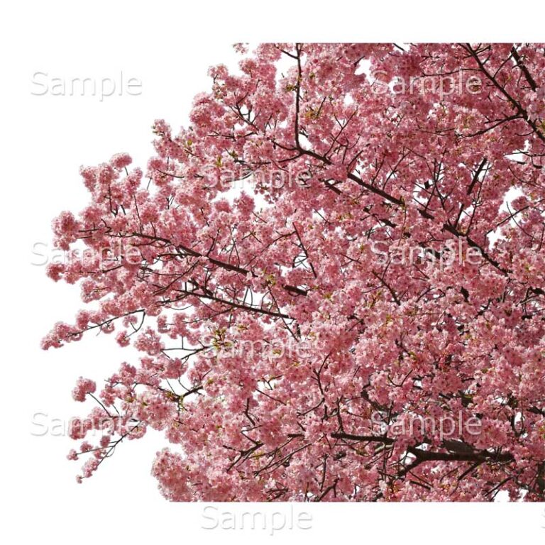 sa150 – sozaiya.com