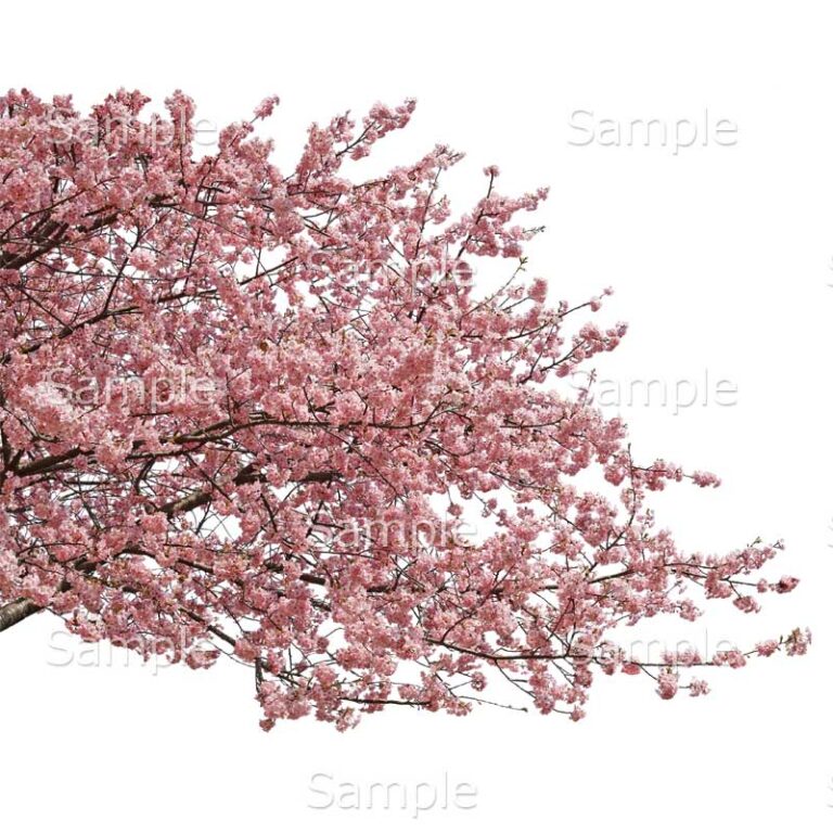 sa169 – sozaiya.com