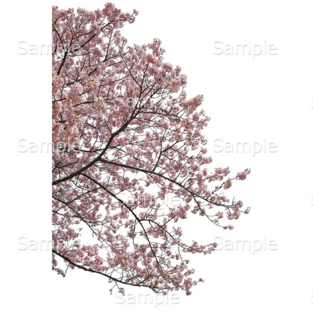 sa158 – sozaiya.com