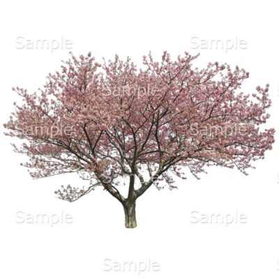 sa172 – sozaiya.com