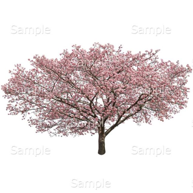 sa180 – sozaiya.com