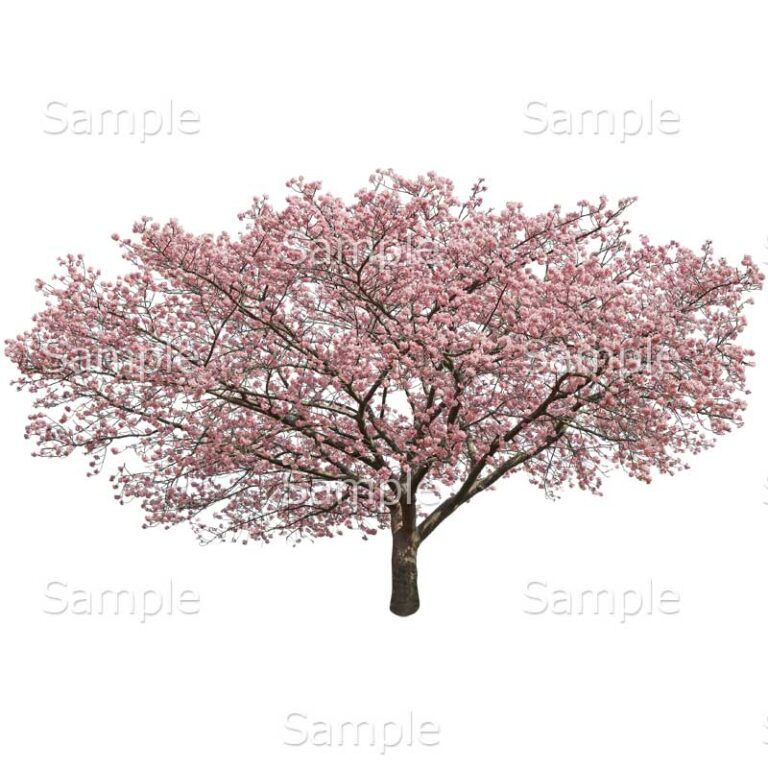 sa180 – sozaiya.com