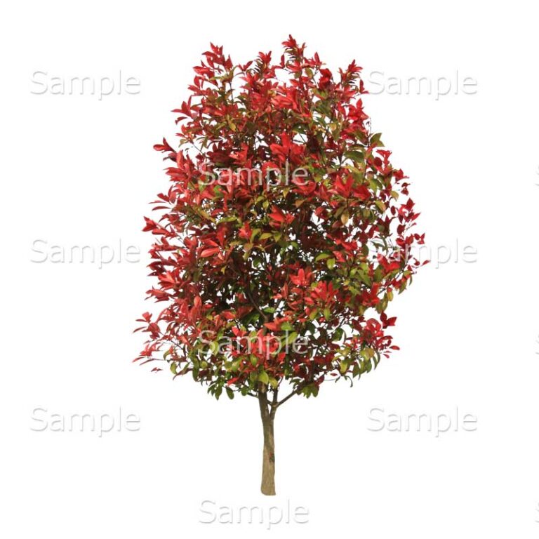 L1002 – sozaiya.com