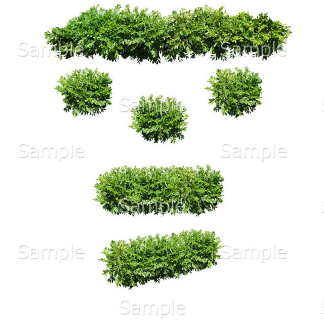 低木素材 – sozaiya.com