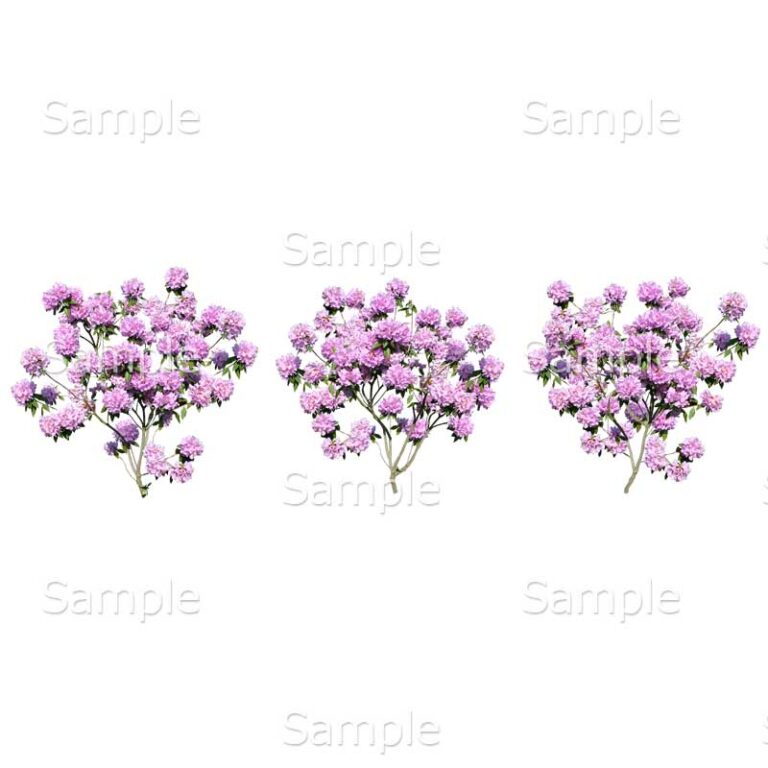 L1001 – sozaiya.com