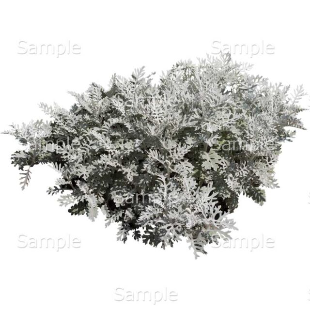 GA_015 – sozaiya.com