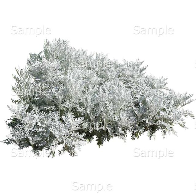 ガーデン – ページ 4 – sozaiya.com