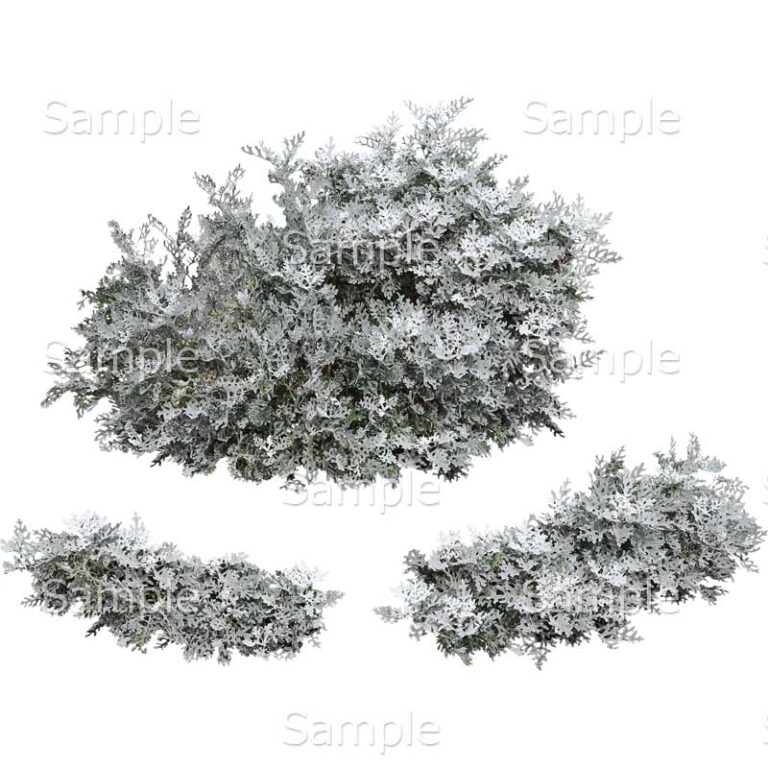 ガーデン – ページ 2 – sozaiya.com