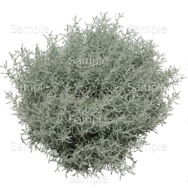 GA_006 – sozaiya.com