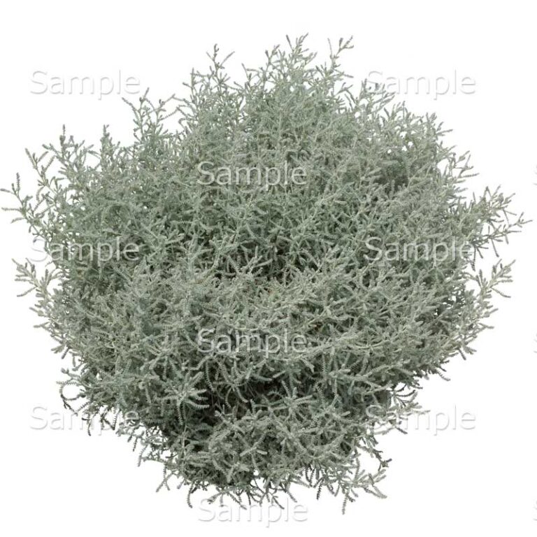 ガーデン – ページ 2 – sozaiya.com