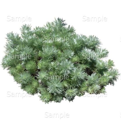 ガーデン – sozaiya.com