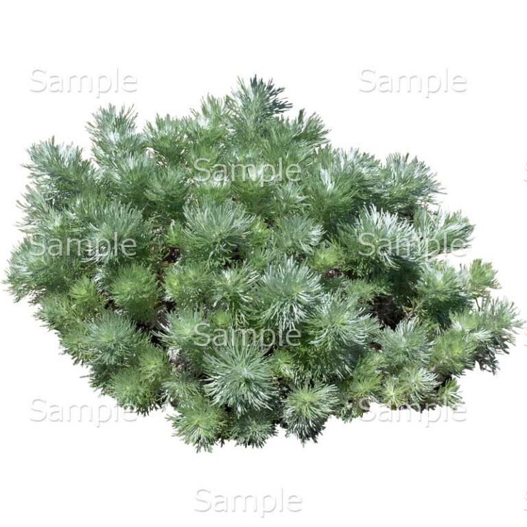 ガーデン – sozaiya.com