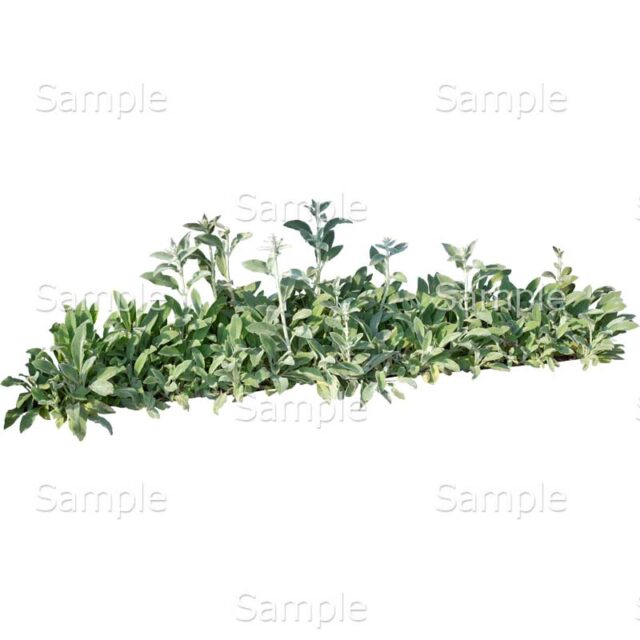 ガーデン – sozaiya.com