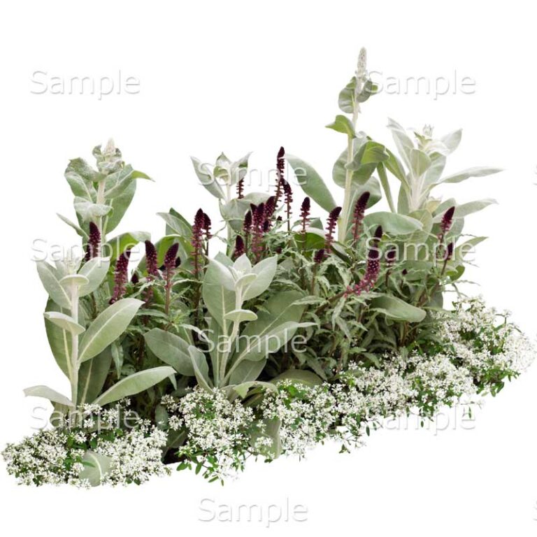 ガーデン – ページ 2 – sozaiya.com