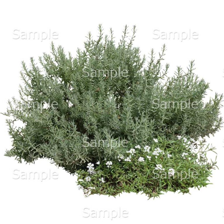 ガーデン – ページ 2 – sozaiya.com