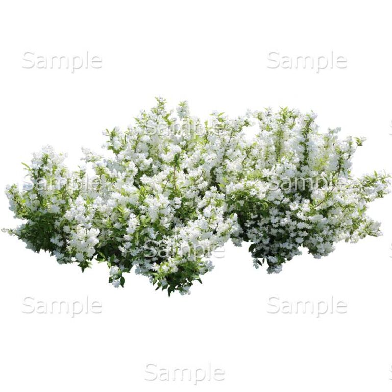 ガーデン – ページ 4 – sozaiya.com