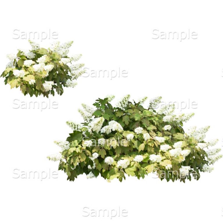 GA_027 – sozaiya.com