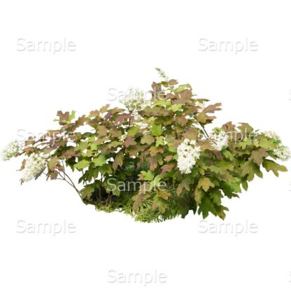 ガーデン – ページ 2 – sozaiya.com