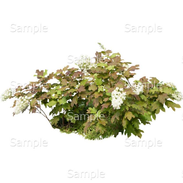 GA_028 – sozaiya.com