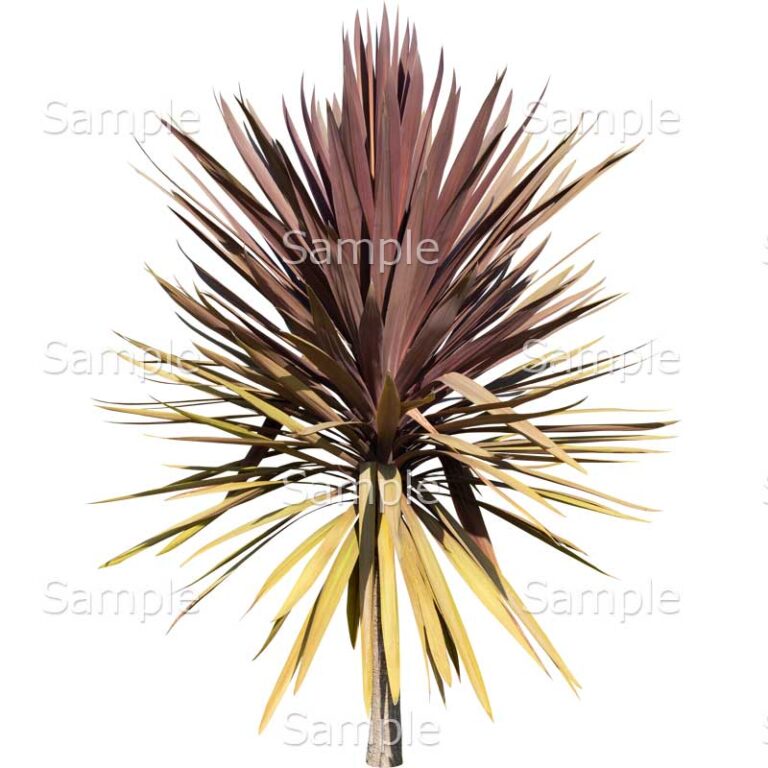 ガーデン – sozaiya.com