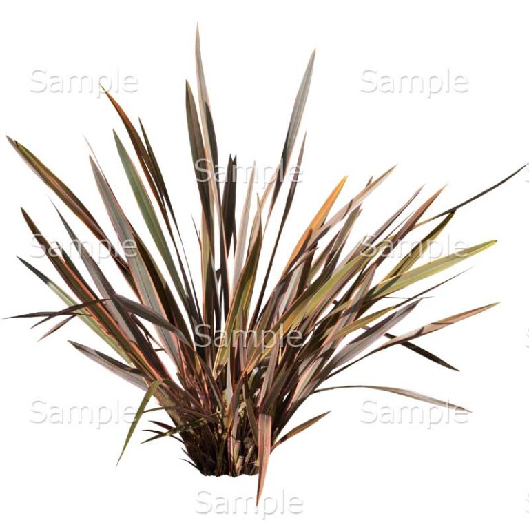 ガーデン – ページ 3 – sozaiya.com