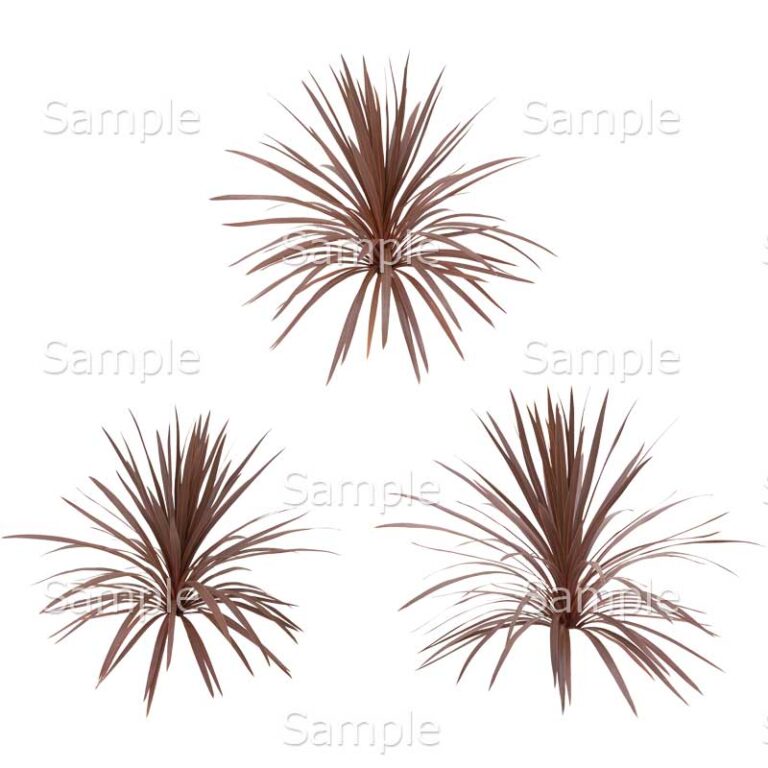 ガーデン – ページ 2 – sozaiya.com