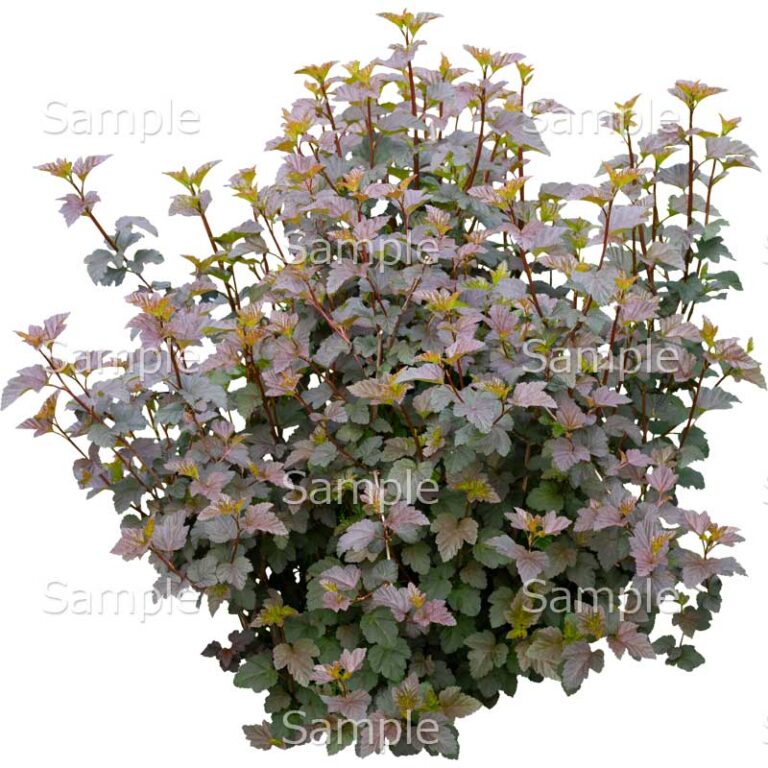 ガーデン – ページ 2 – sozaiya.com