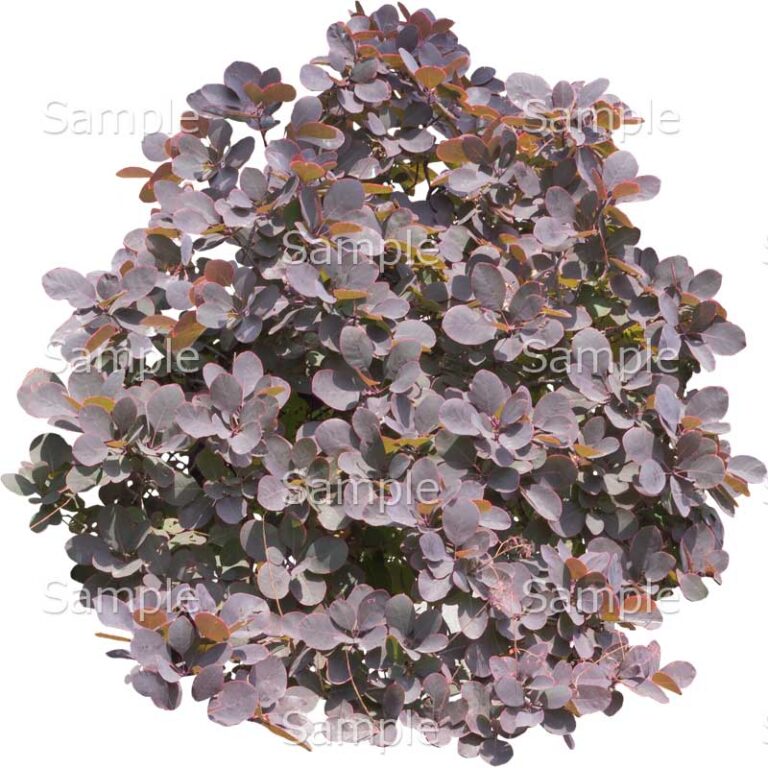 ガーデン – ページ 2 – sozaiya.com