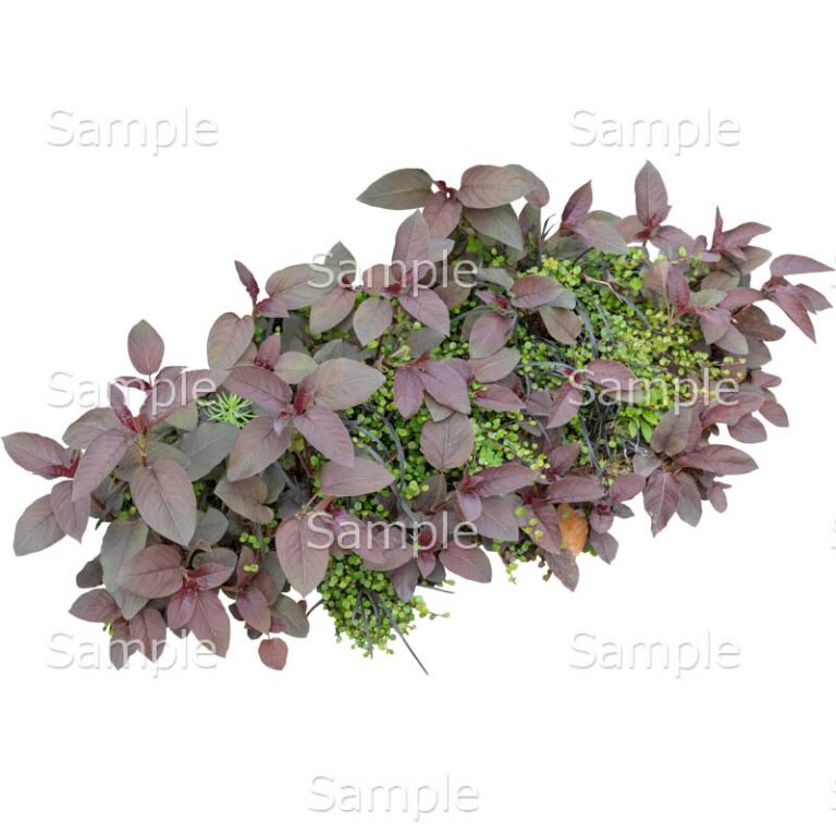 ガーデン – ページ 3 – sozaiya.com