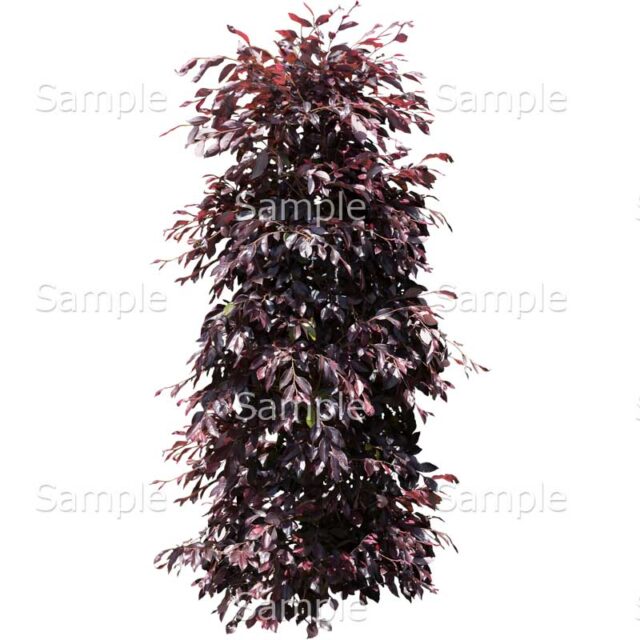 ガーデン – ページ 2 – sozaiya.com