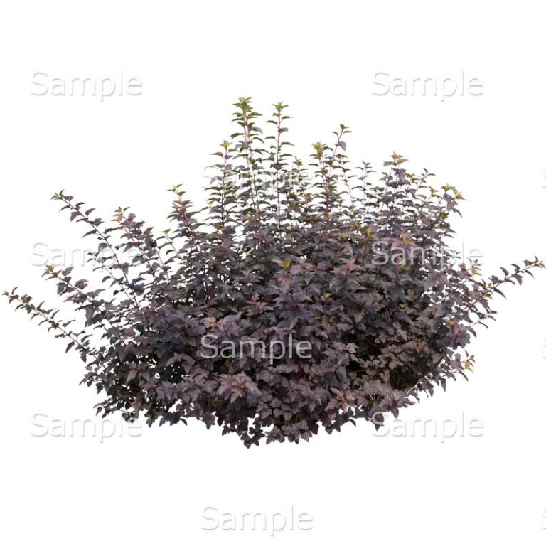 GA_030 – sozaiya.com