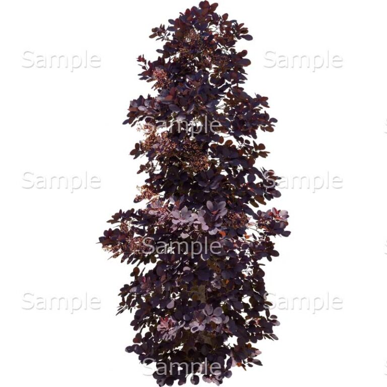 GA_030 – sozaiya.com