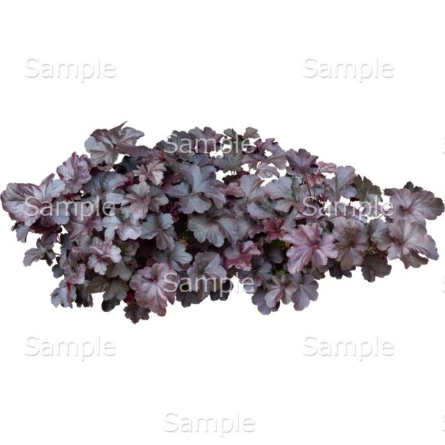 ガーデン – ページ 2 – sozaiya.com