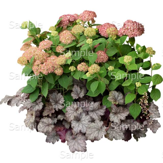 GA_030 – sozaiya.com