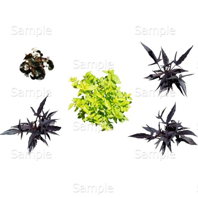 GA_062 – sozaiya.com