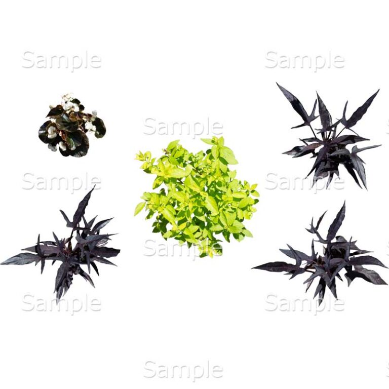 GA_062 – sozaiya.com