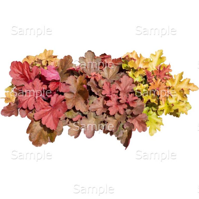 GA_065 – sozaiya.com