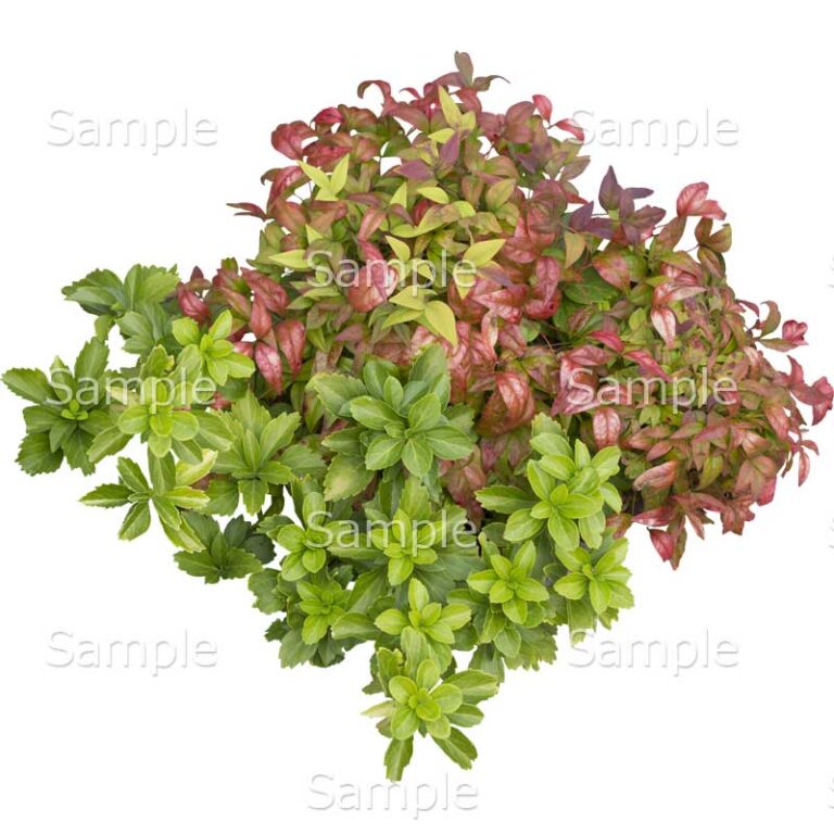 ガーデン – ページ 4 – sozaiya.com