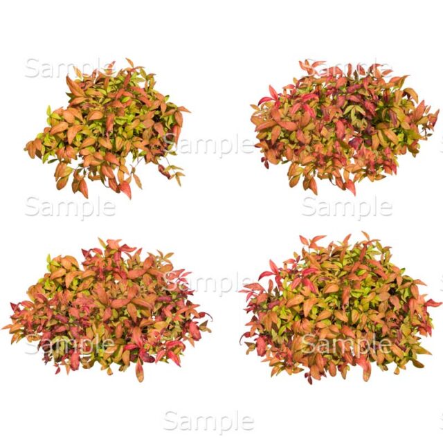 GA_067 – sozaiya.com