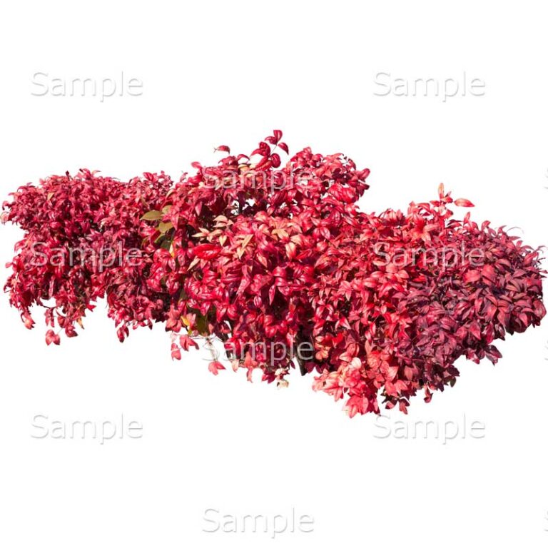 ガーデン – sozaiya.com