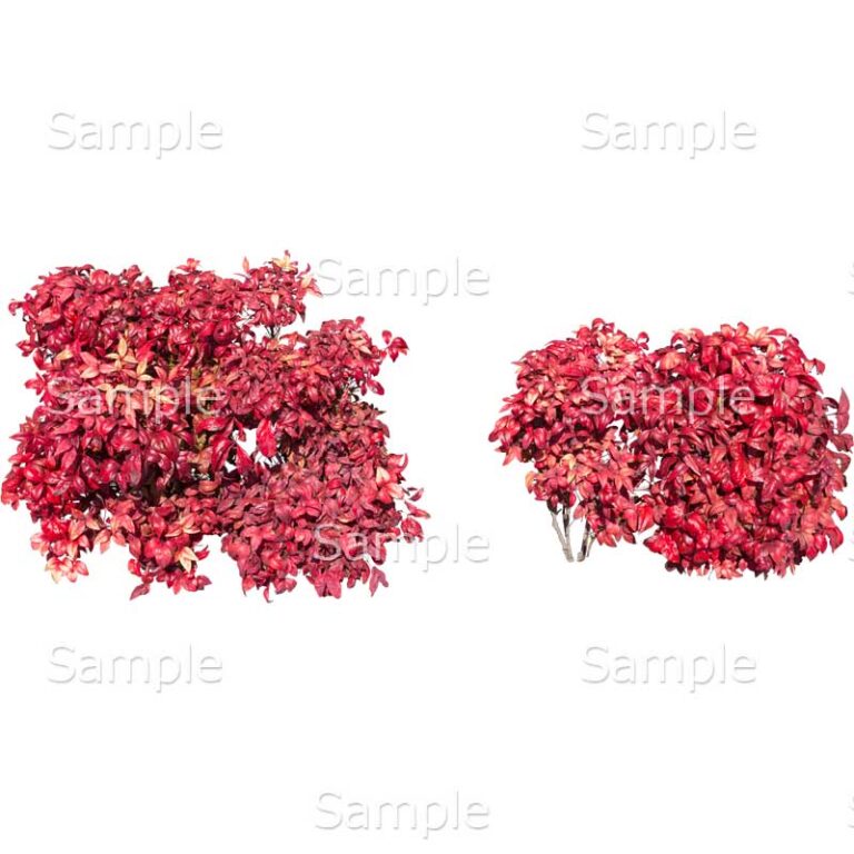 ガーデン – sozaiya.com