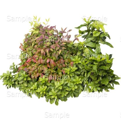 GA_355 – sozaiya.com